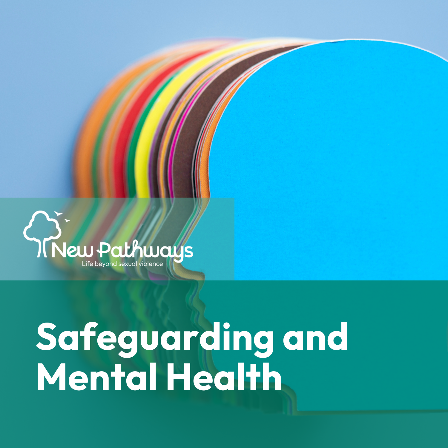 Specialist Training - Safeguarding Courses - New Pathways